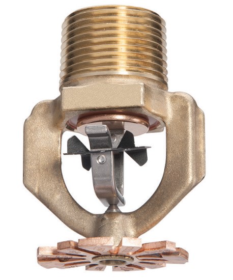 TYCO TY7223 Rociador Bronce de 165F ESFR-17 Fast Response Pendent K-16. ...